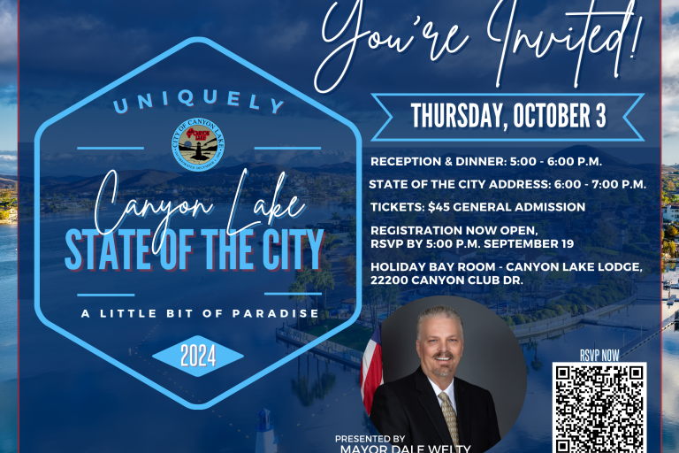 lake district design code